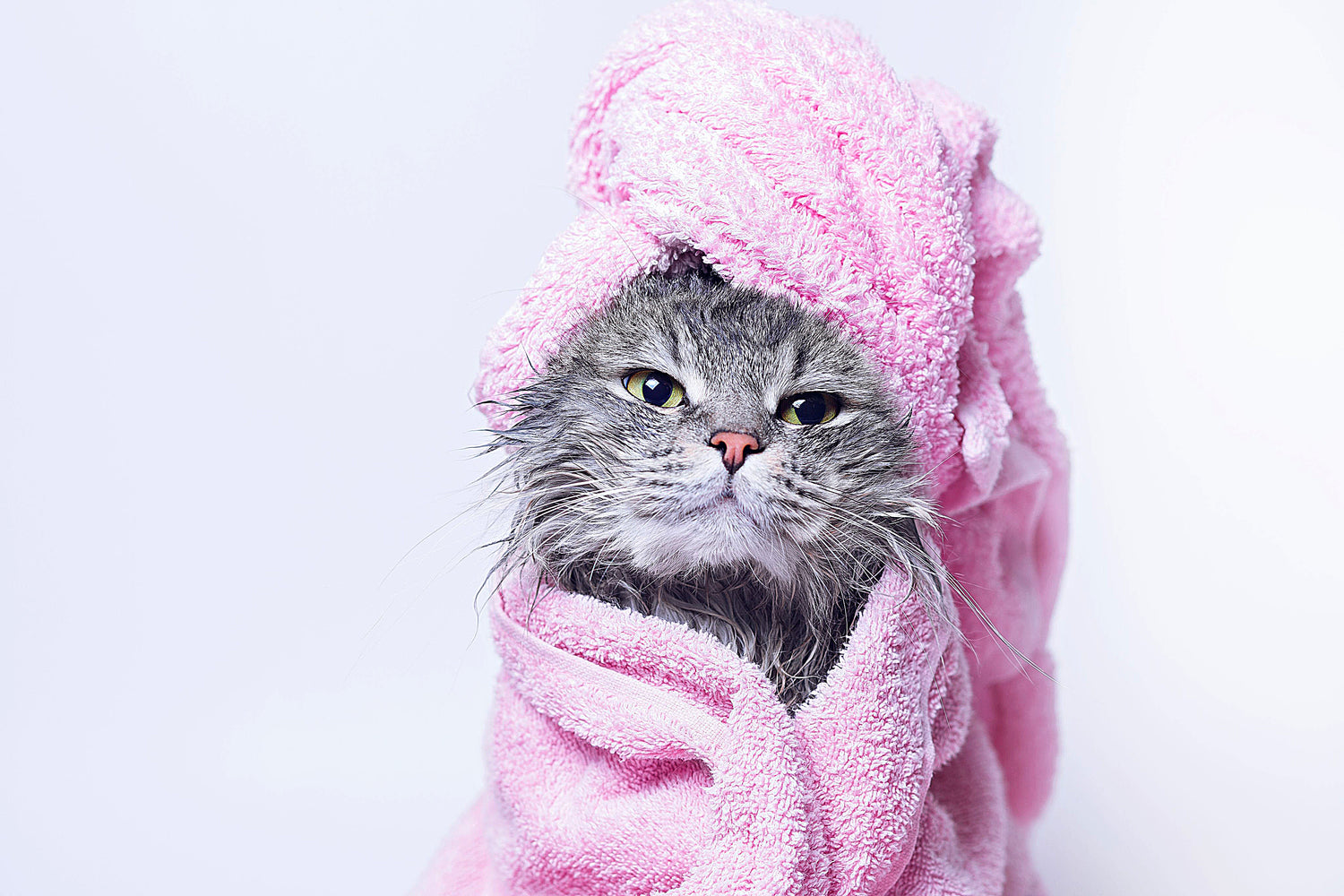 Super Star bedding shop – SuperStar Bedding